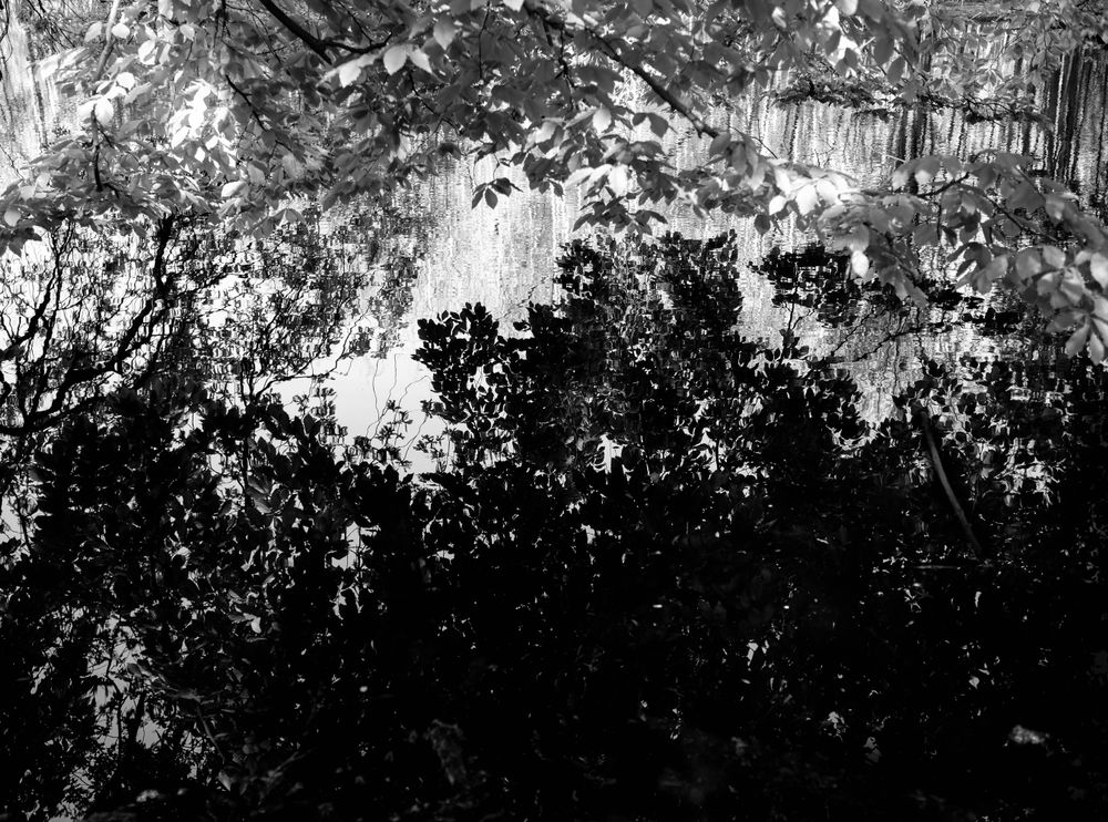 Alexandre Machado - Reflections | LensCulture