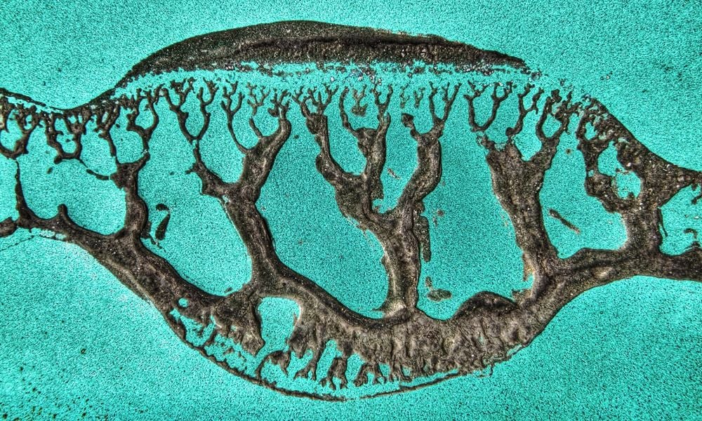 Mike Cable - Abstracts ; The unusual in the usual | LensCulture