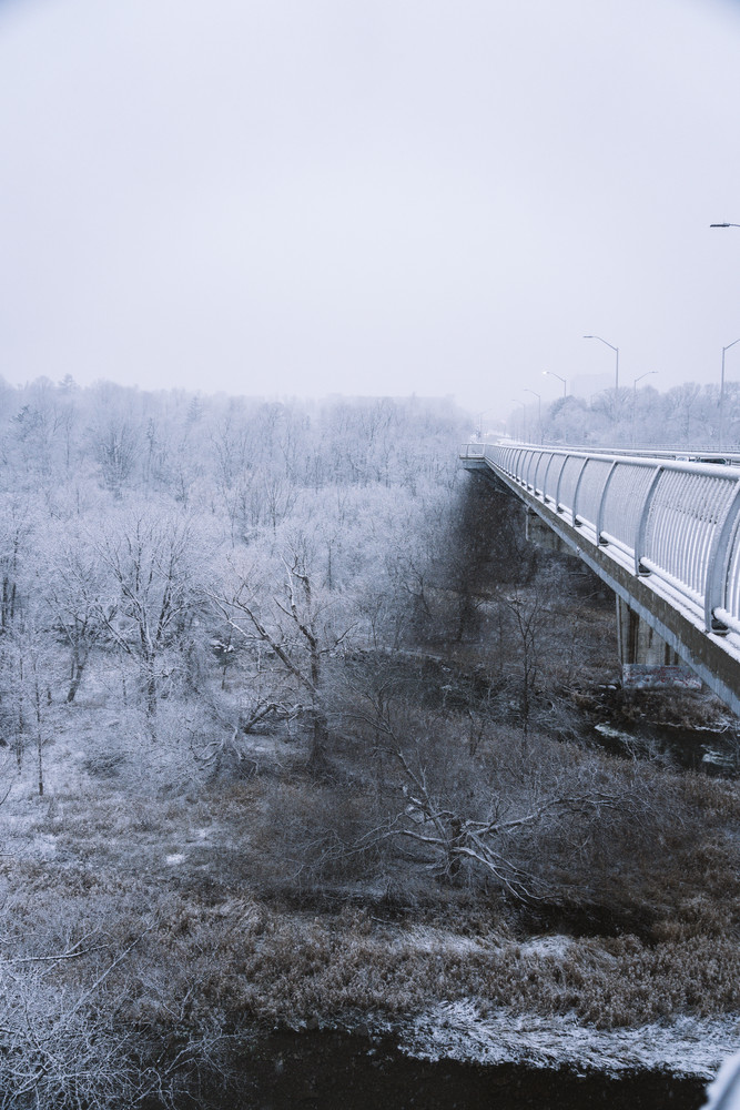 Jeremy Schaller - Canadian Watersheds: Grace and Beauty in the Mud and ...
