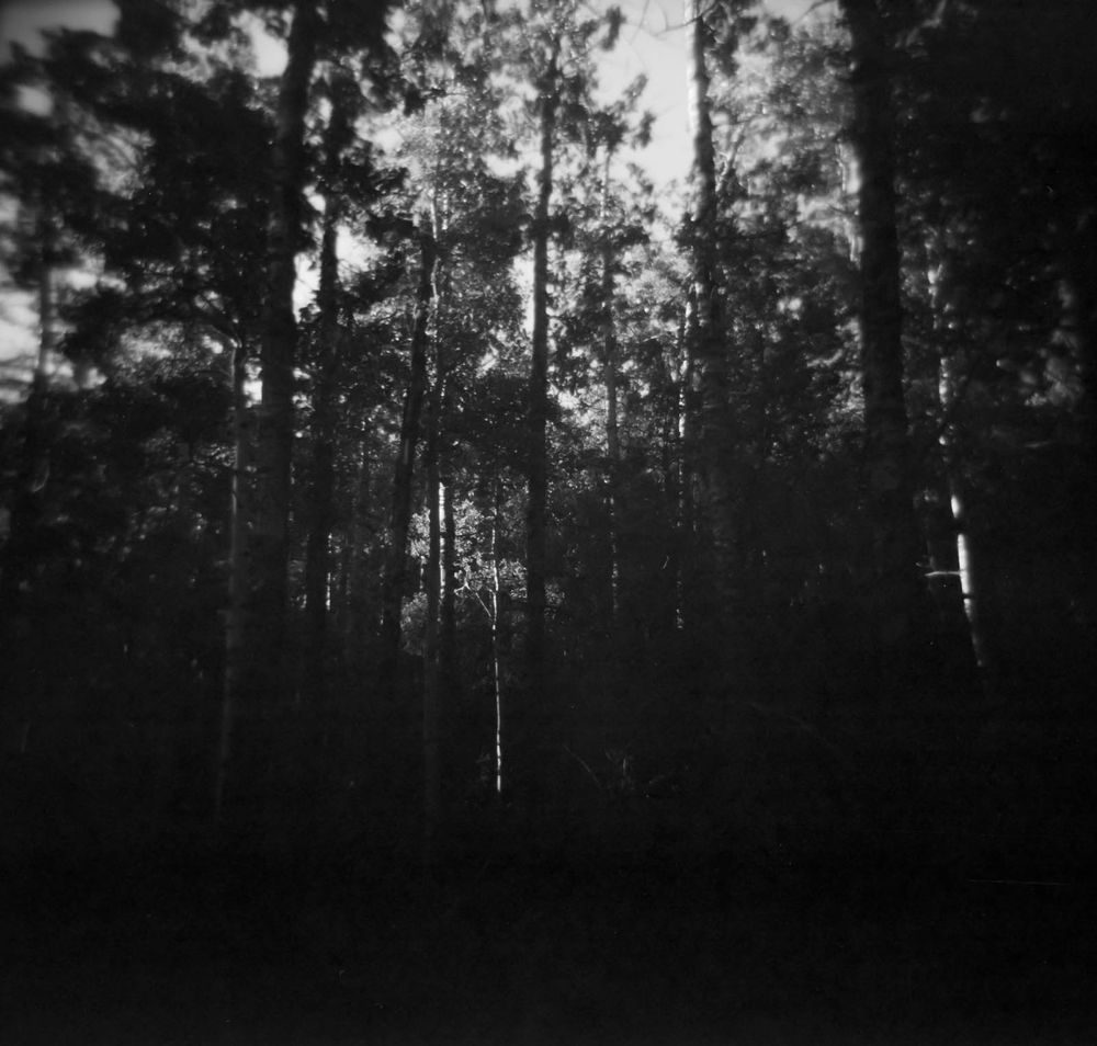 Helen Dang - Your Soul is a Dark Forest | LensCulture