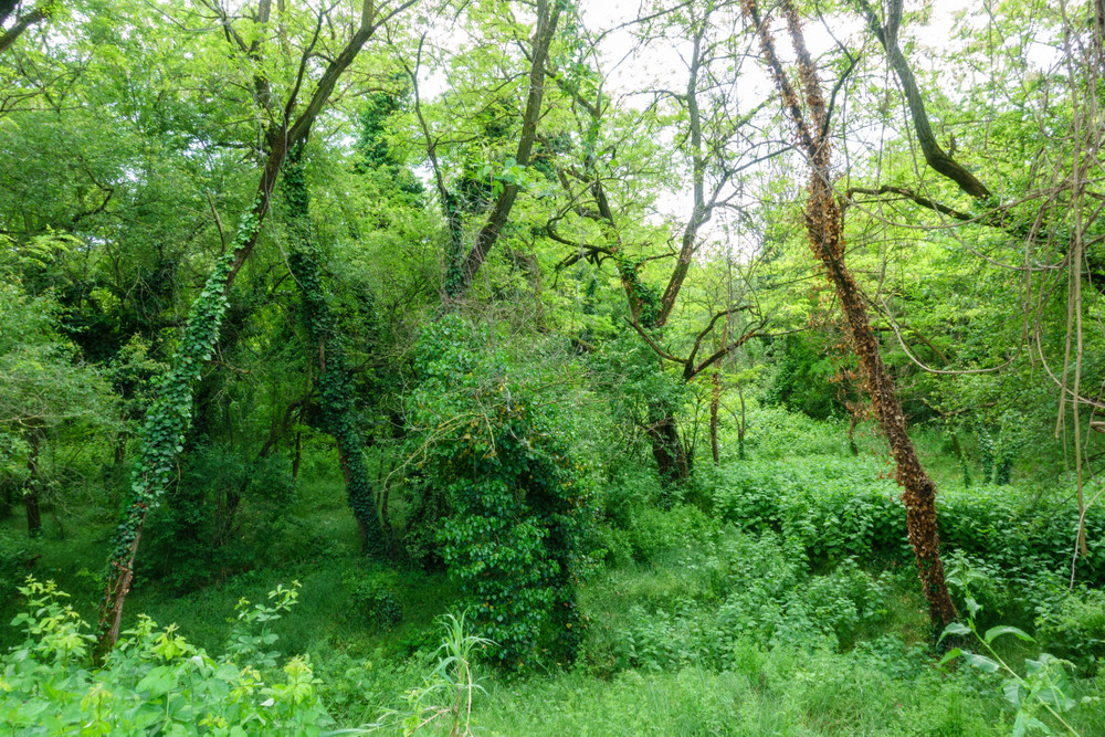 Giorgio Lulli - Prati di Caprara, East Side | LensCulture