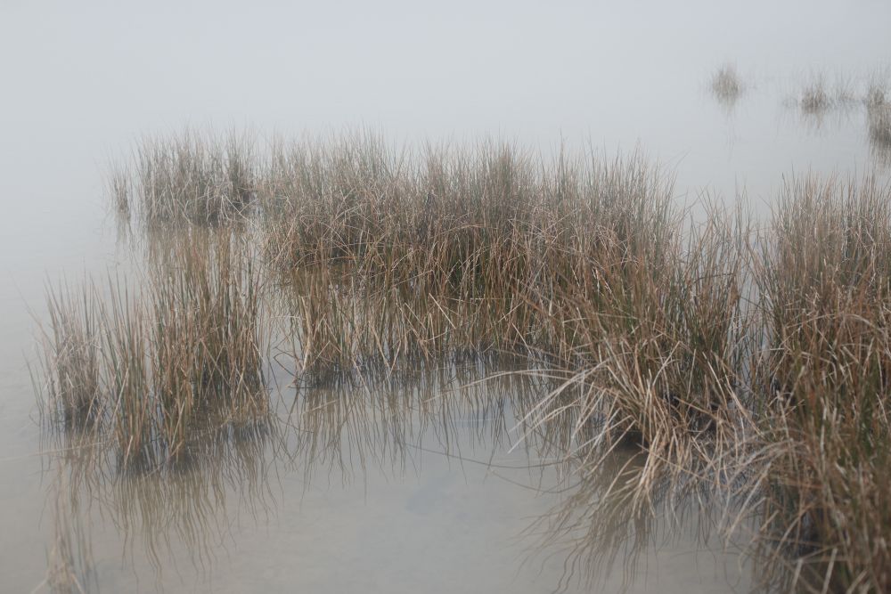 Ingvild Kristine Melby - Armona | LensCulture