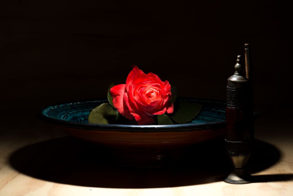 David Alemany Ribes - About the things (work in progress) | LensCulture