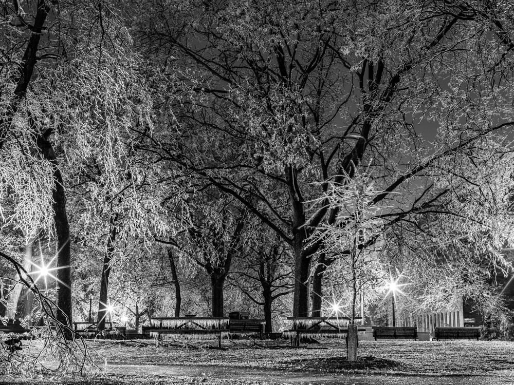 Crystal Chaos: The Aesthetic Beauty of Freezing Rain - LensCulture