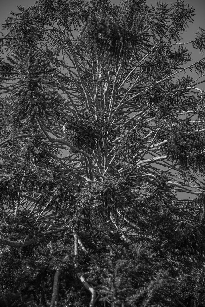 Mike Connerty - Untitled | LensCulture