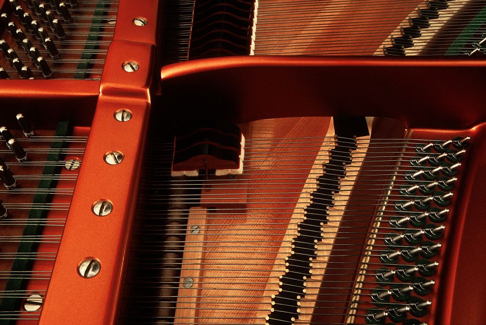 Carl Root - Pianos - Up Close | LensCulture