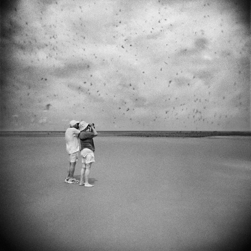 The Best from Photographers with Plastic Cameras and Film - Photographs ...