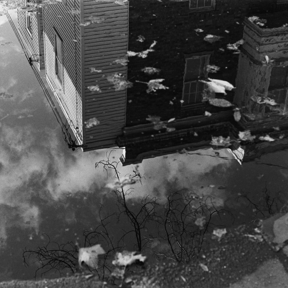 Caroline Aung - Nature & Grace | LensCulture