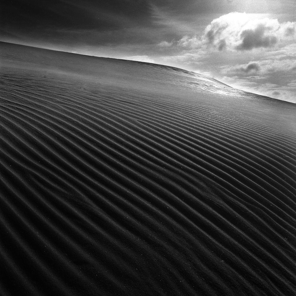 Black Nature - LensCulture