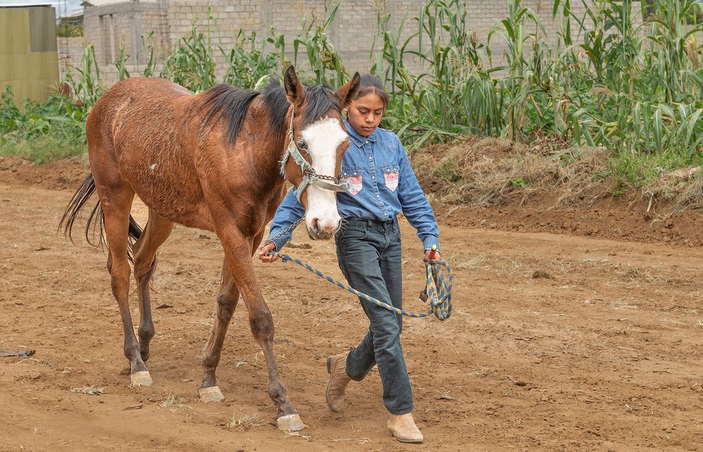 Cynthia Roderick - Tim in wig and mask | LensCulture