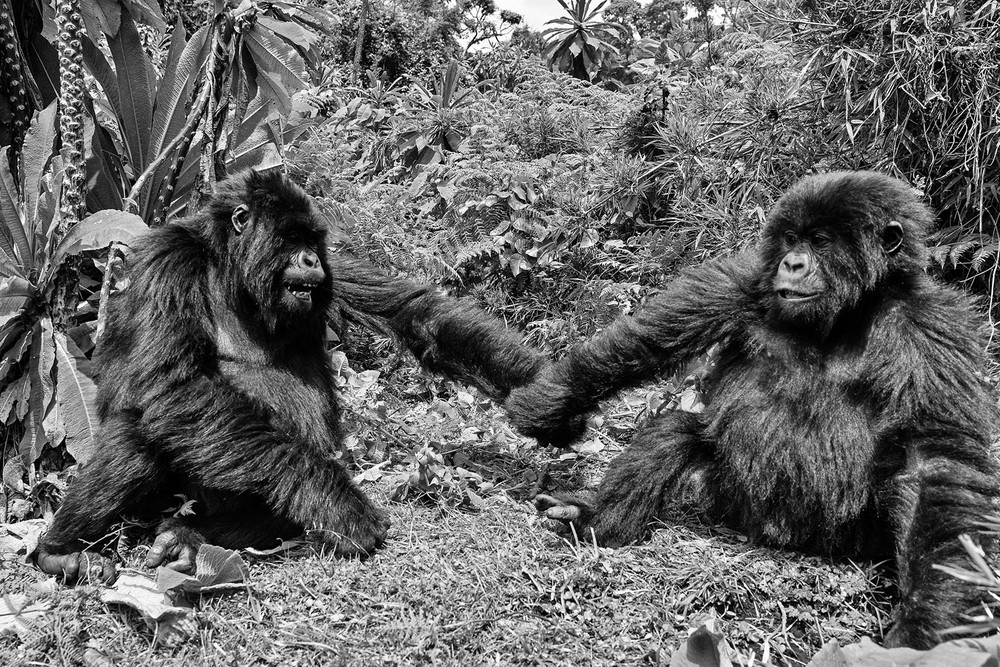 Jason Edwards - Moments | LensCulture