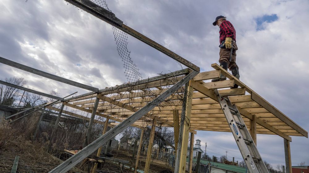 Ruth Foote - Shepherd / Farmer | LensCulture
