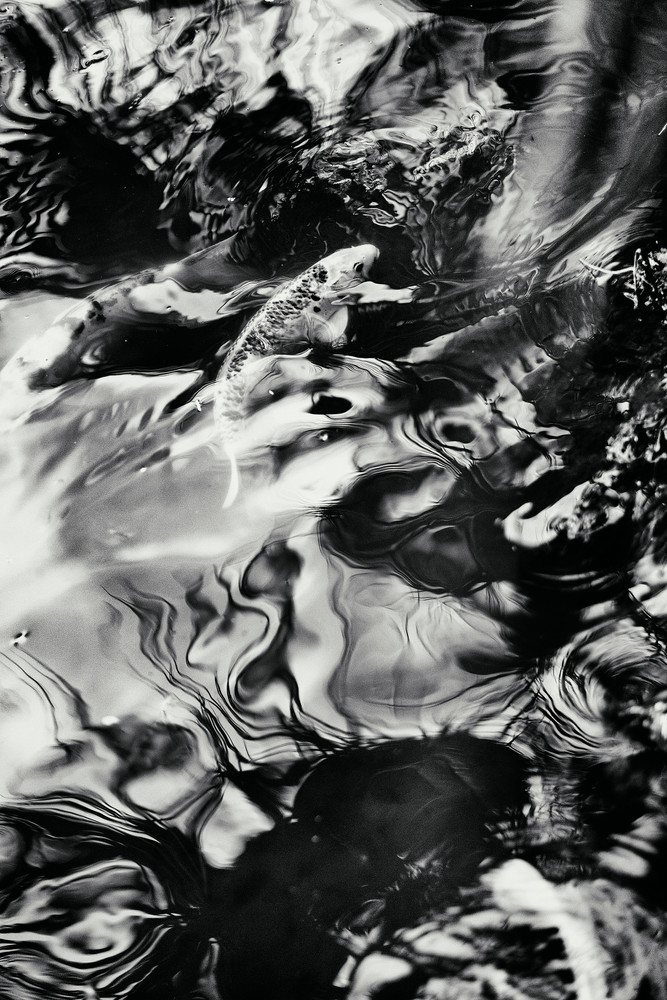 Quintin O’Connell - Anomie | LensCulture