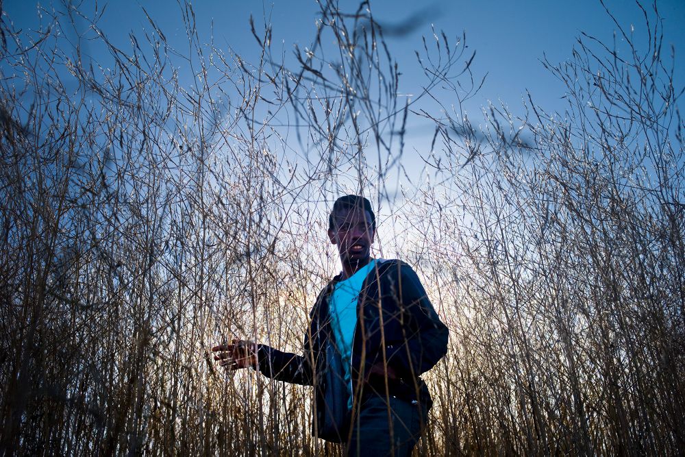 Danny Burrows - No Life / Jungle Life | LensCulture