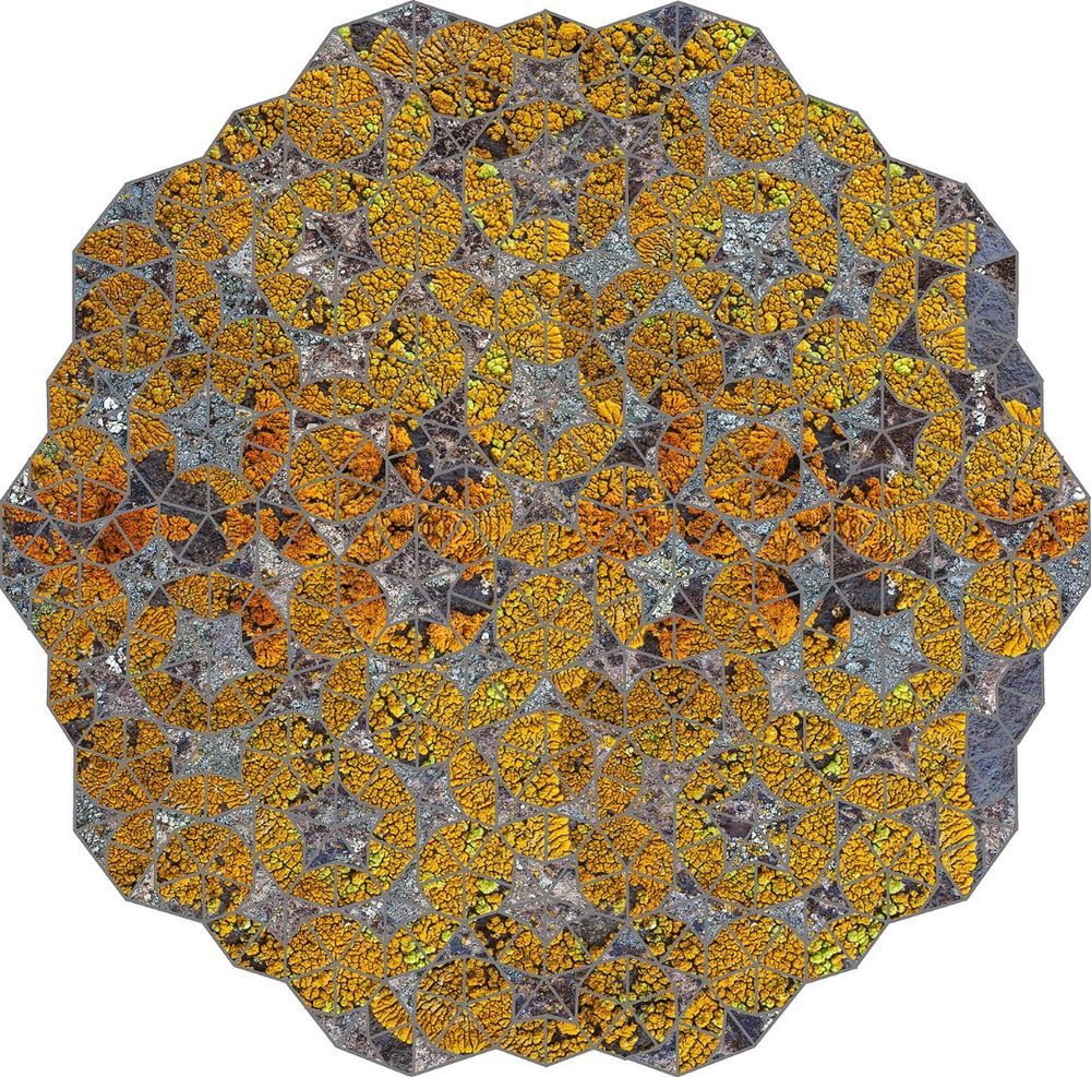 Karen Strom - The Structure of Nature | LensCulture