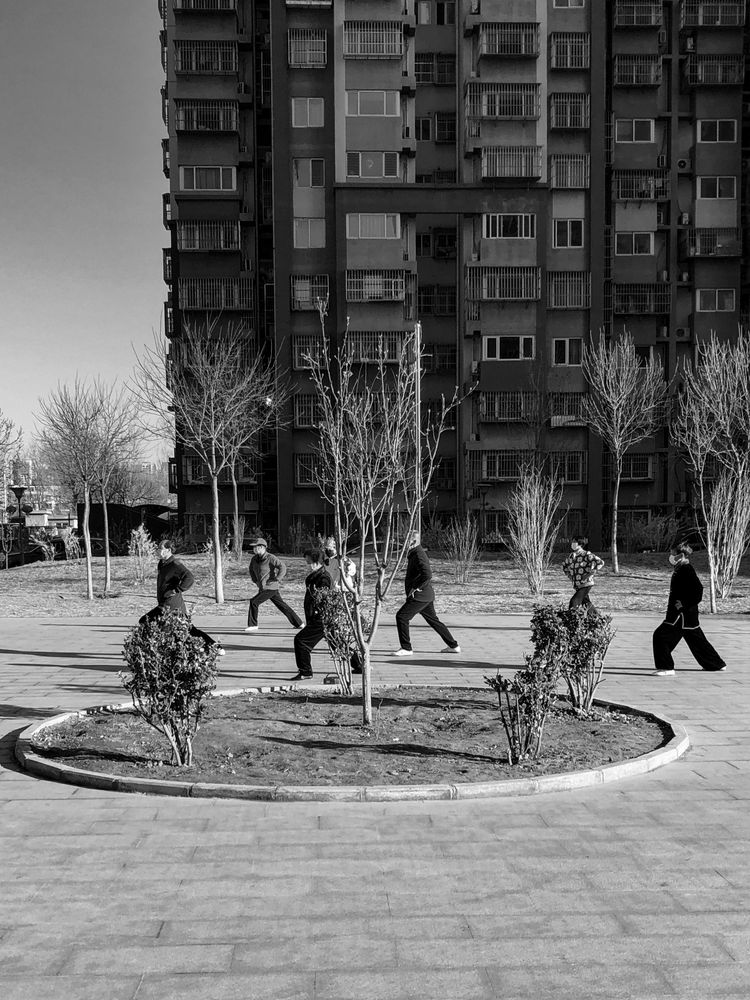 Xiaofeng Zhang - Born Free | LensCulture