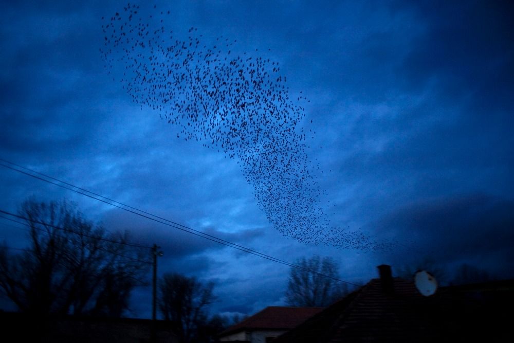 Matt Lutton - Only Unity | LensCulture