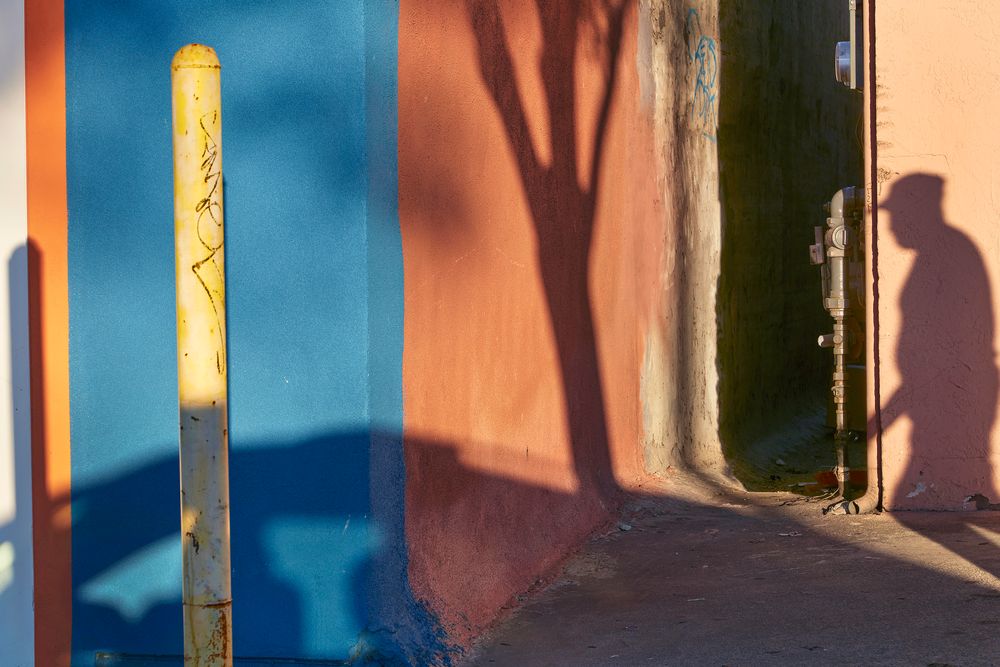 Chris Roche - Golden West | LensCulture