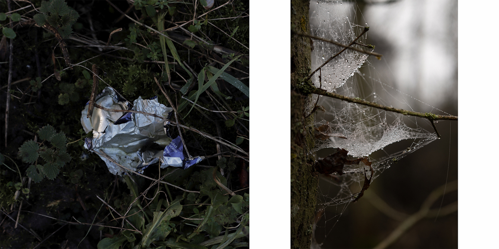 Jack Vine - Walking With Waste | LensCulture
