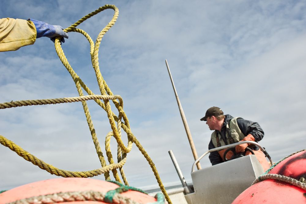 David Mattox - Fish Camp | LensCulture