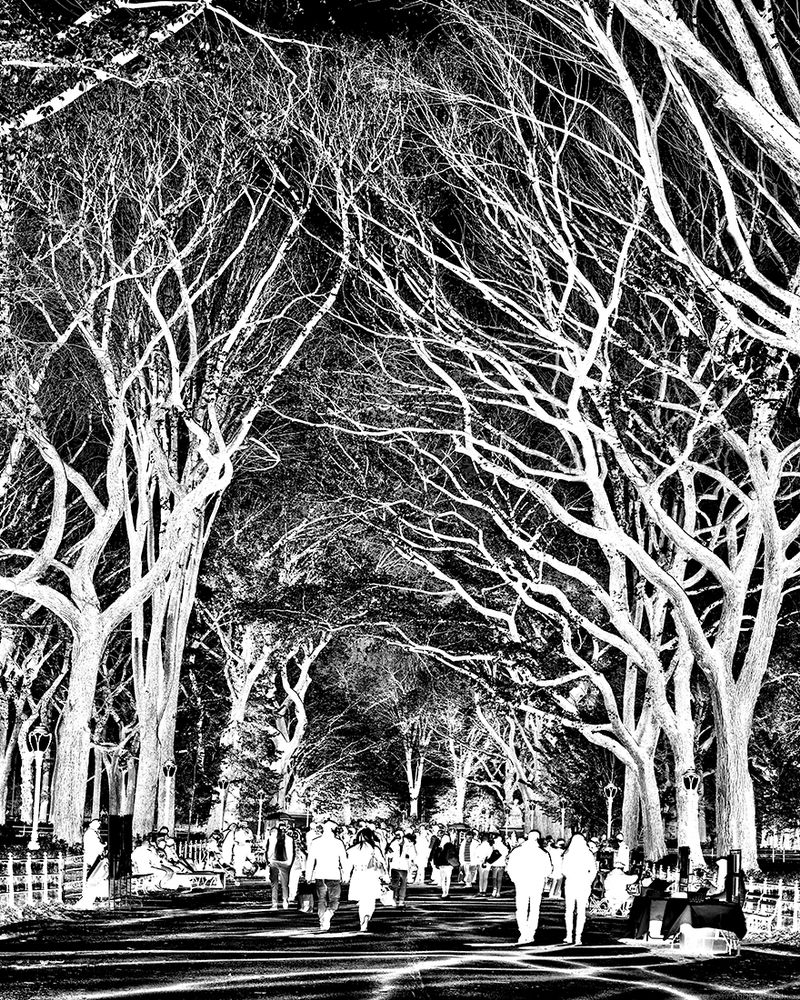 Andrew Prokos - Inverted (B&W) | LensCulture