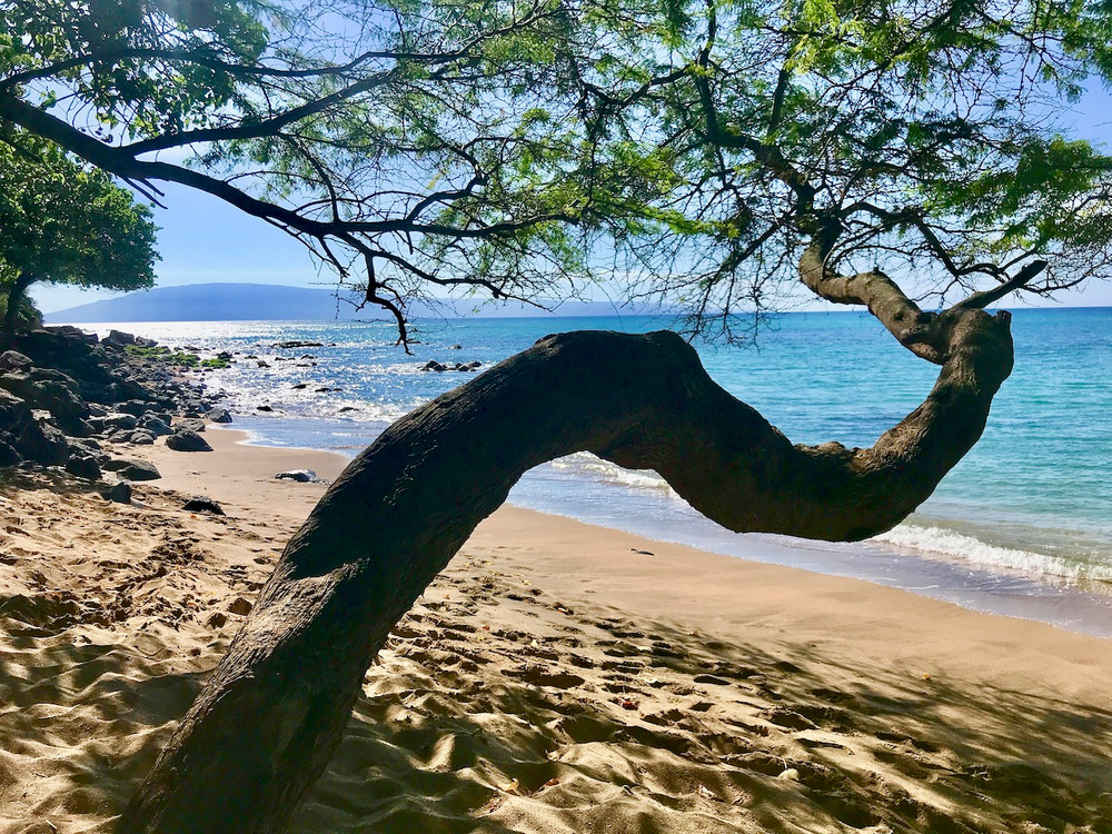 Mike Butterfield - NEW IMAGES | LensCulture