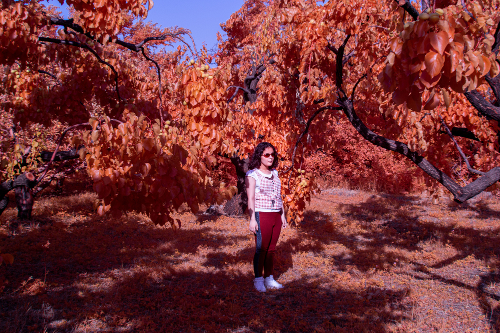 Davit Nersisyan | Critics' Choice 2021 Entry