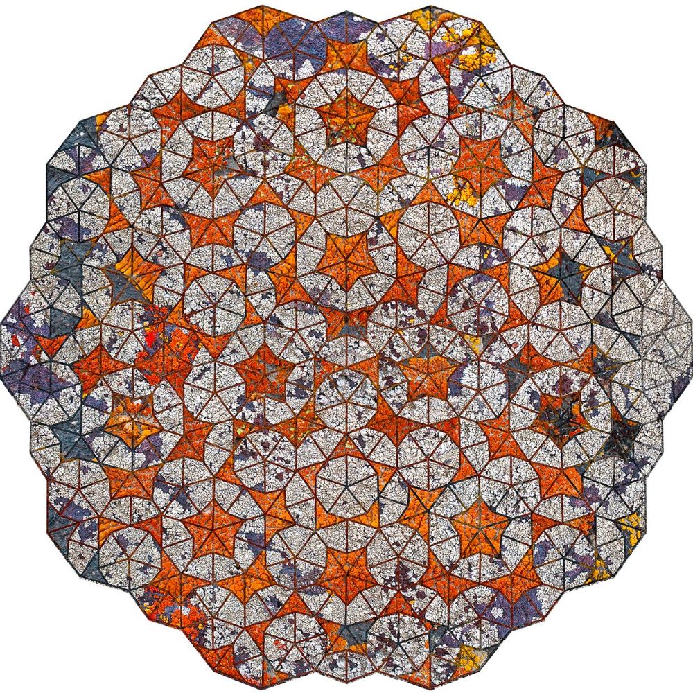 Karen Strom - The Structure of Nature | LensCulture