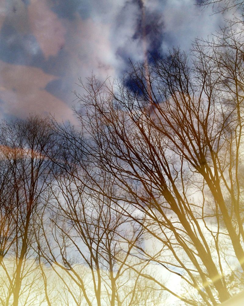 Steven Parisi Gentile - David Orton Gallery, Hudson NY Third Annual ...