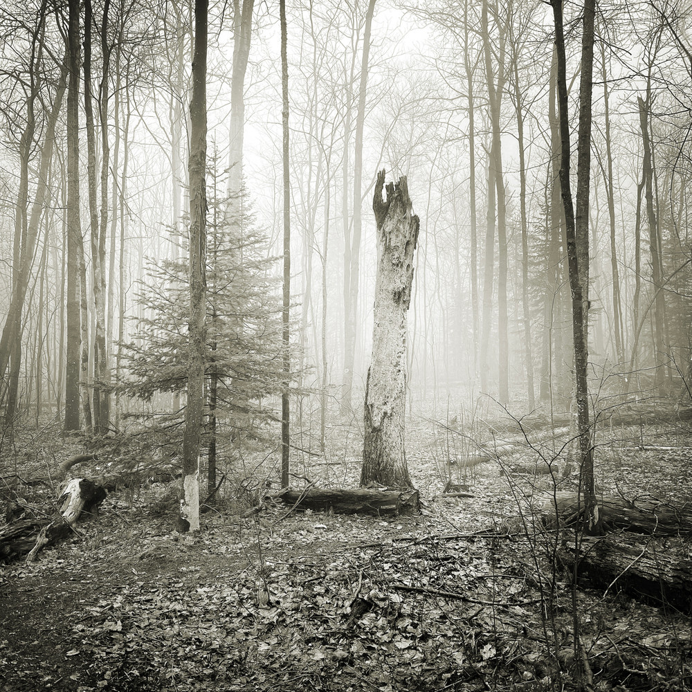 Sally Bowker - Invocation | LensCulture