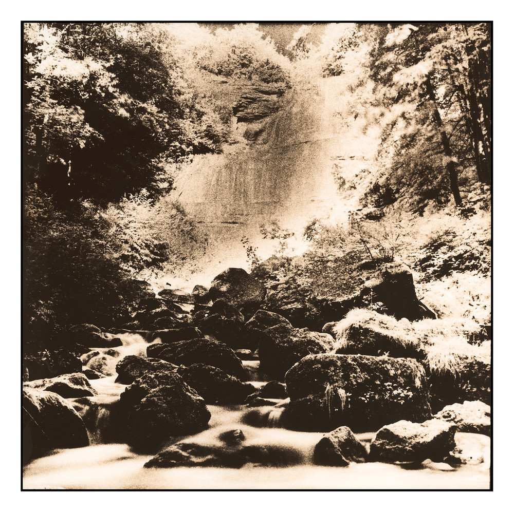 Michael Mavridis - A Breath of Nature | LensCulture