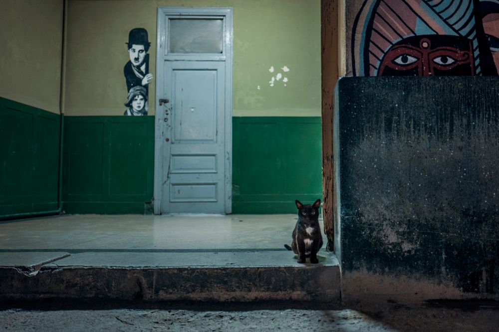 Mikko Timonen - Untitled | LensCulture