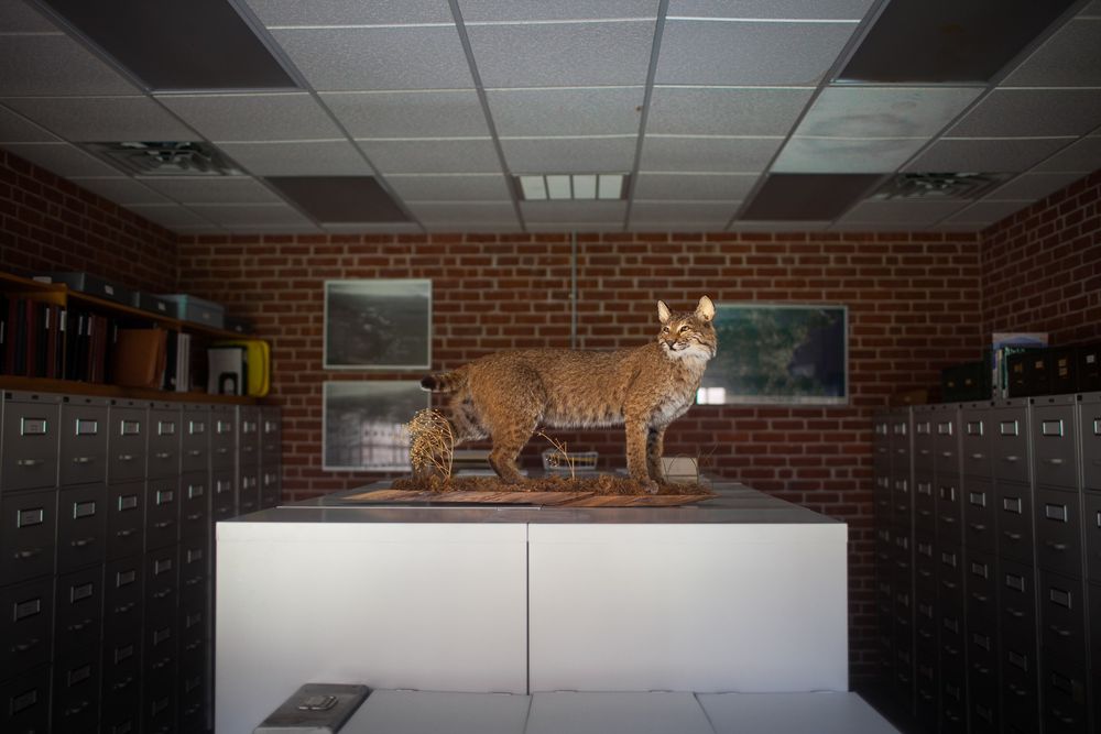 John Hirsch - And Again | LensCulture