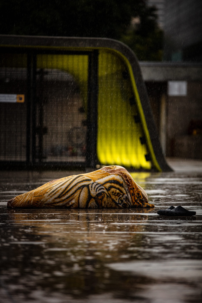 WESLEY BARKER - Street Exhibition in London | LensCulture