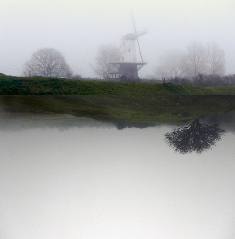 Sara Friedlander - Escaping Reality | LensCulture