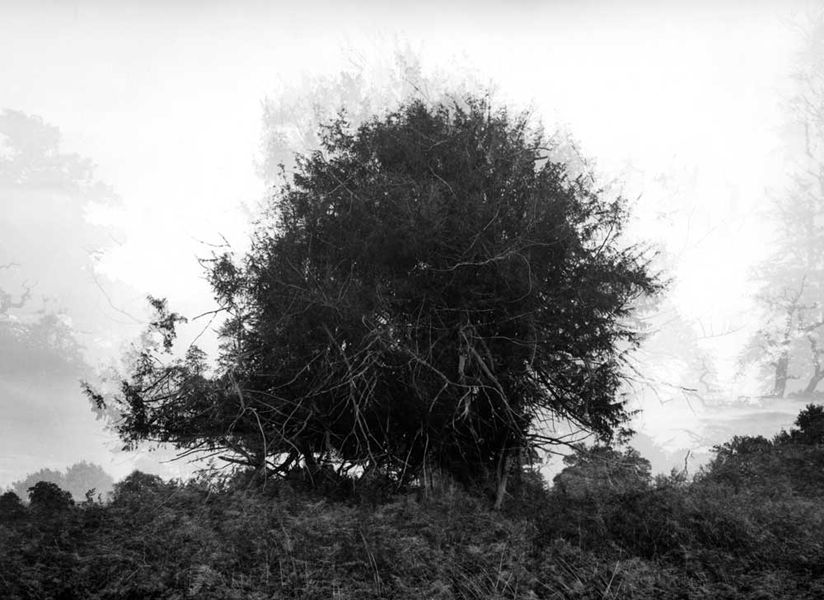 Hannah Guy - Staccato° and North South East West | LensCulture