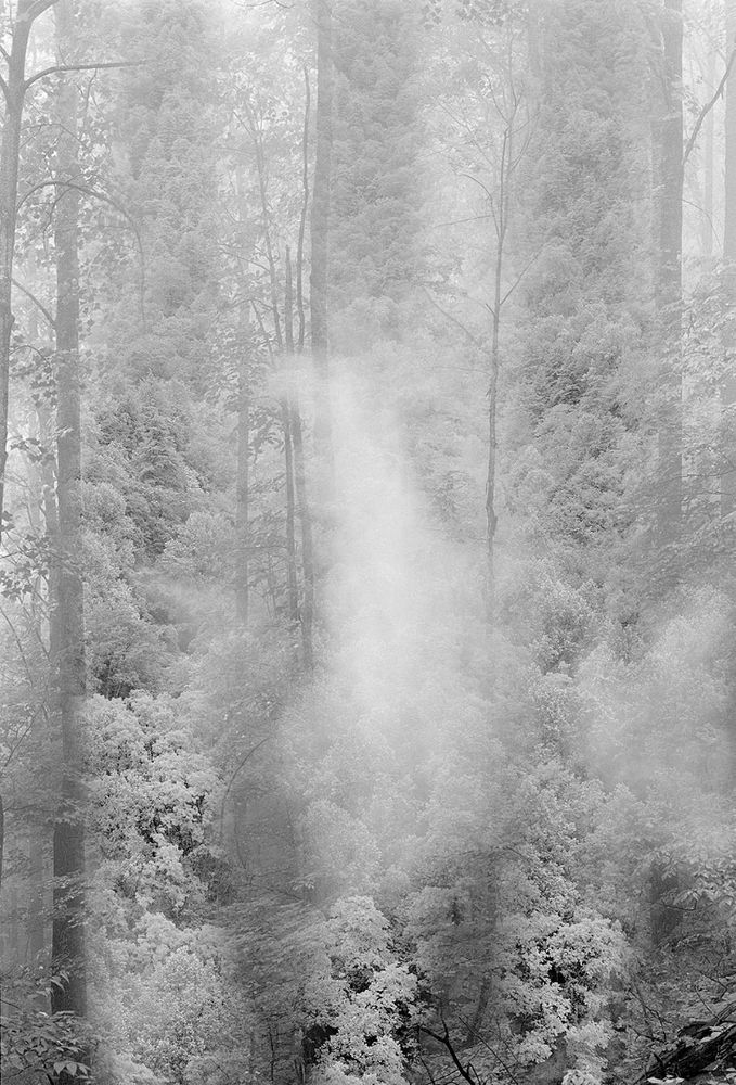 Karen Strom - Assembled Images | LensCulture