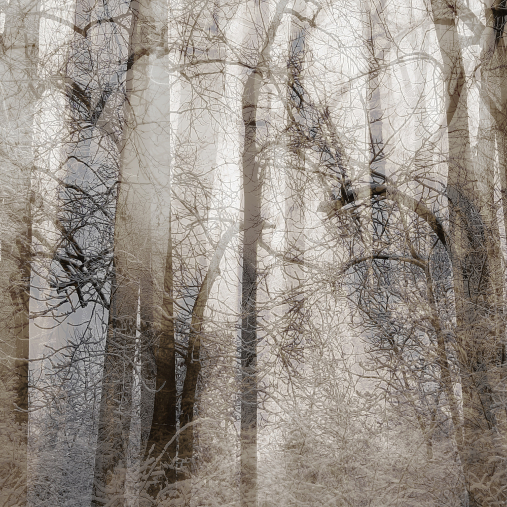 Judy Bales - Selections from: Seeking the Sublime | LensCulture