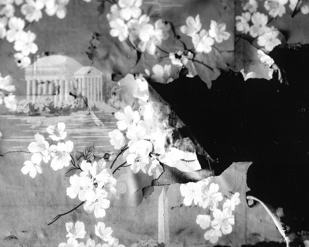 Elizabeth Conley - Stepping into freedom. | LensCulture