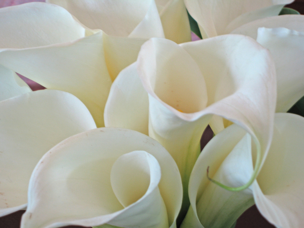 Steven Parisi - Gentile - desert southwest | LensCulture