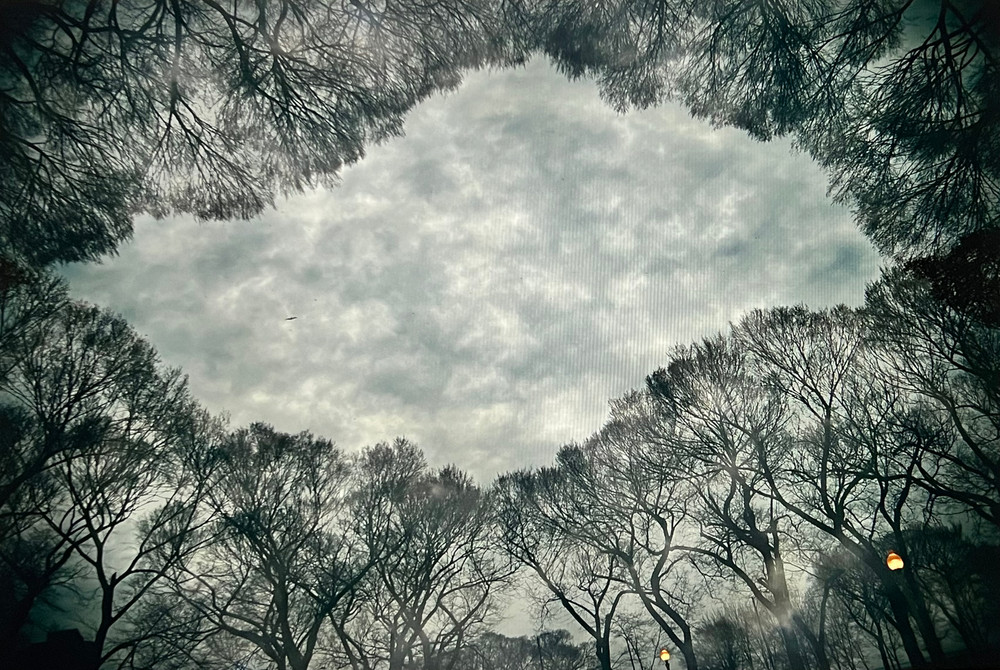 Return to photography - LensCulture