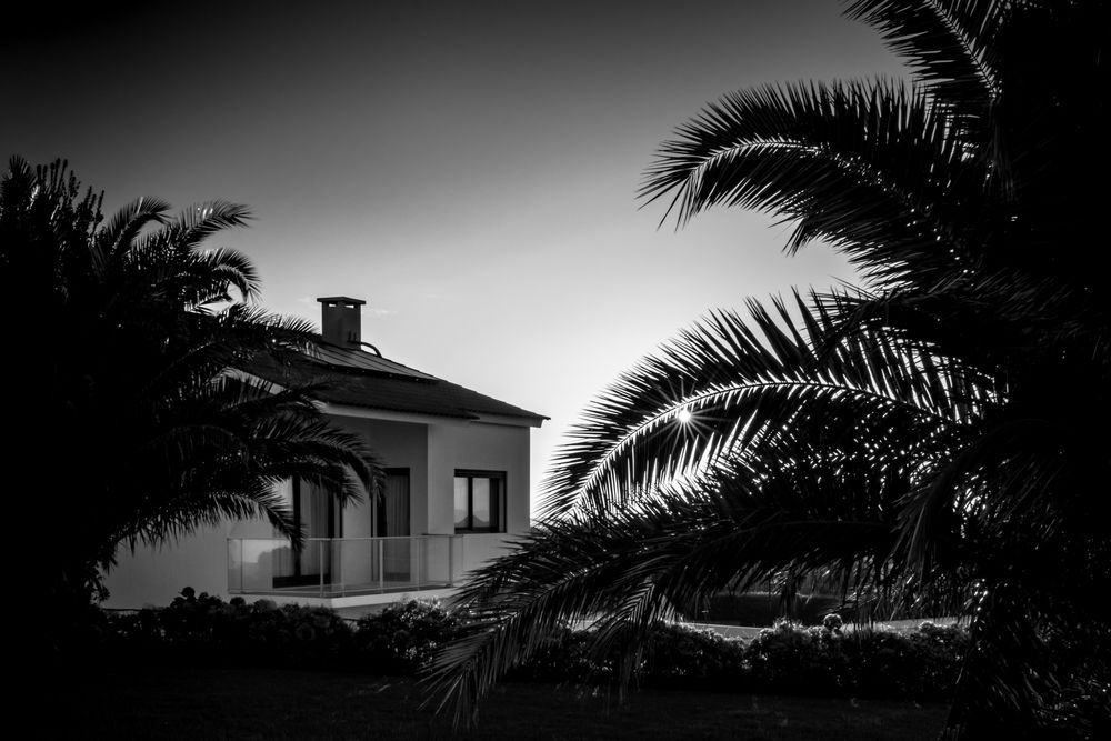 Pete Nowicki - Bouillabaisse | LensCulture