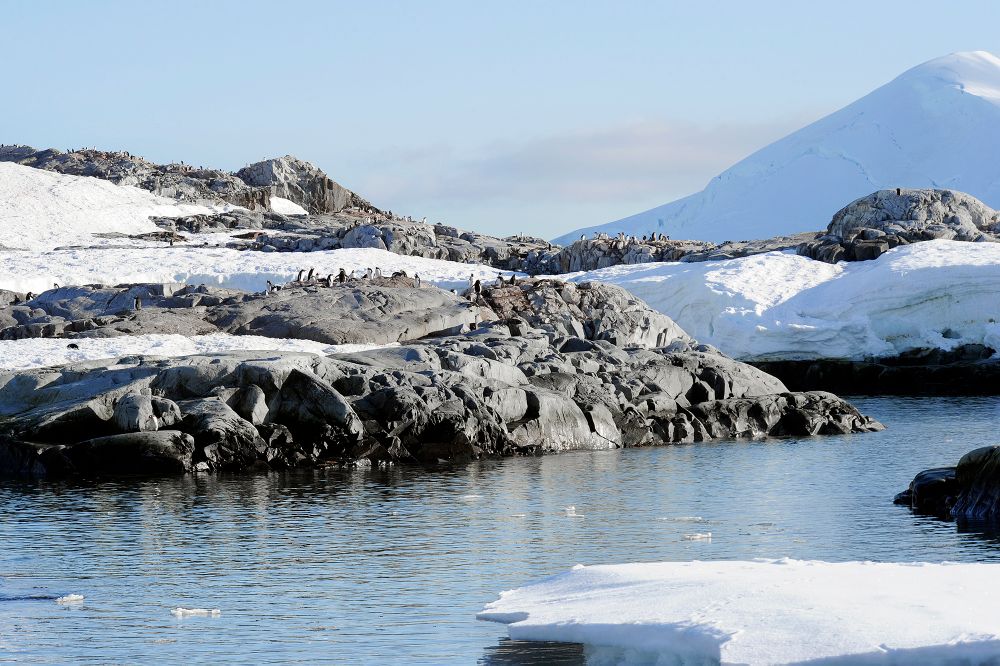 Laureen Robert - ANTARCTICA | LensCulture