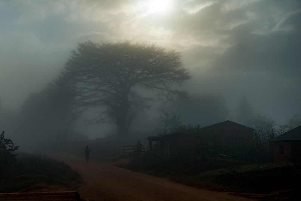 Steve Freeman - Untitled | LensCulture