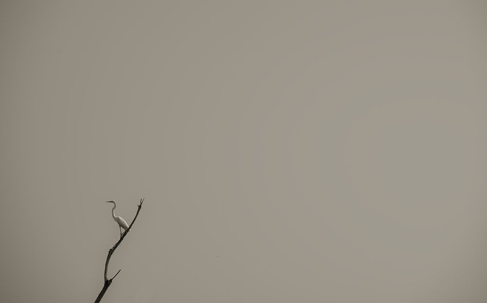 Ron Tarver - Land Sea Air | LensCulture