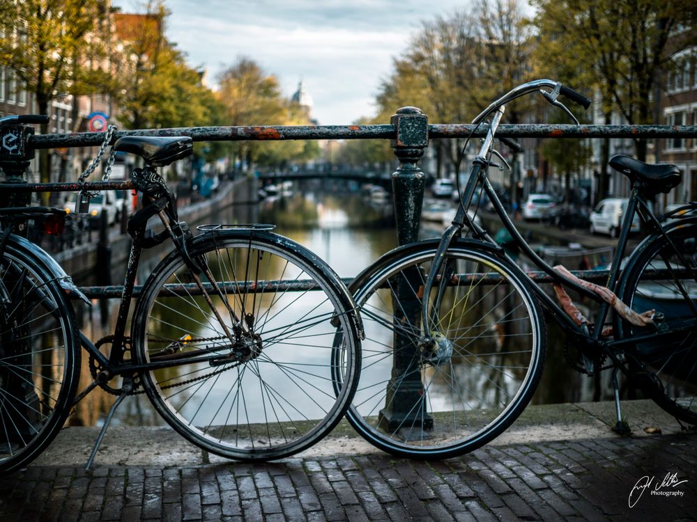 Angad Sethi - Collection from the streets | LensCulture