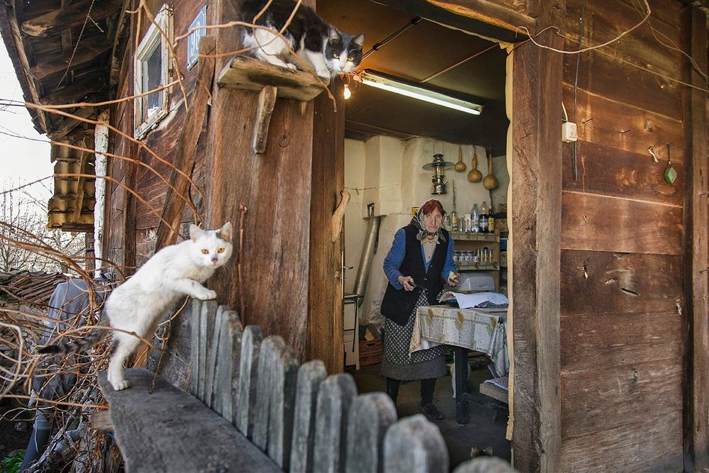 Sebastian Steveniers - Sumadija | LensCulture