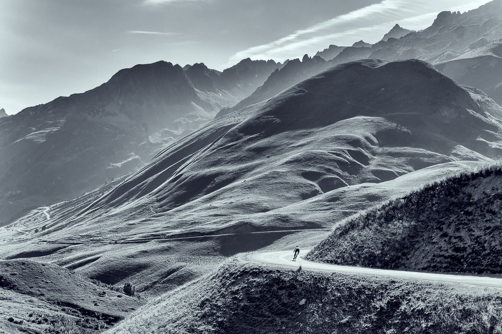 david tedman - Call of the Wild | LensCulture