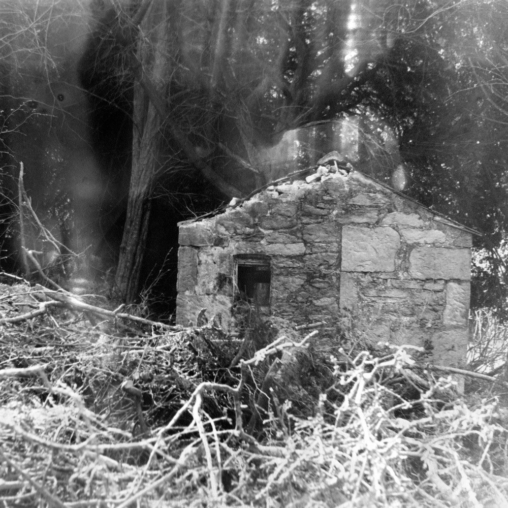Sharon Harvey - Portfolio: Northern Gothic | LensCulture