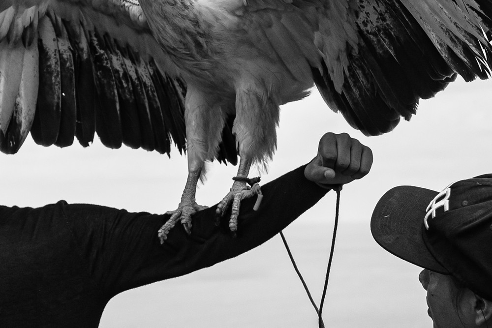 Ali Akkaya - Captive | LensCulture